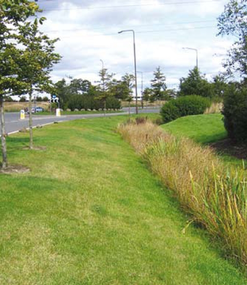 Swale - BSP Consulting