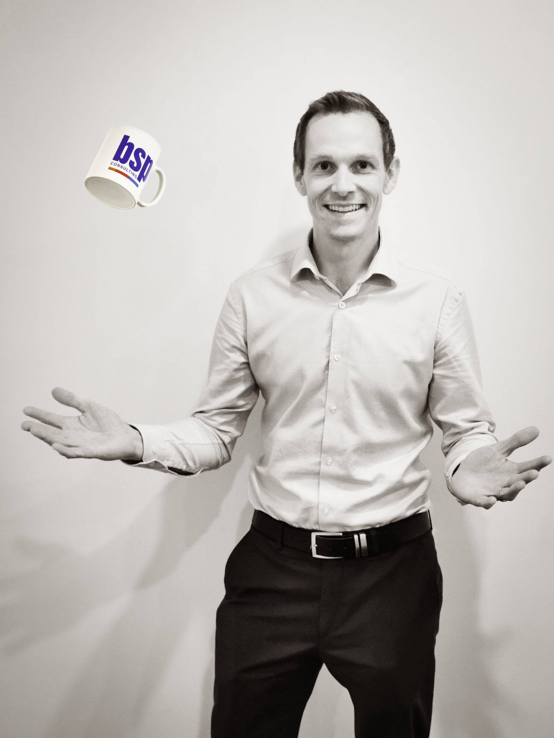 Gareth Ellison - BSP Consulting